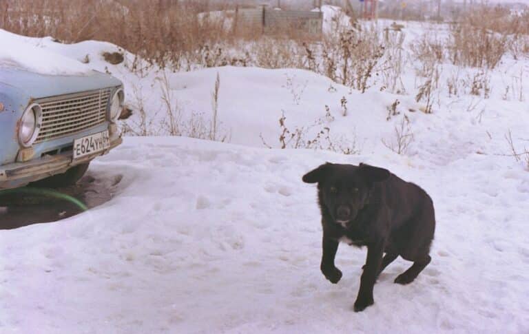 Zenit-12xp - Soviet Cameras