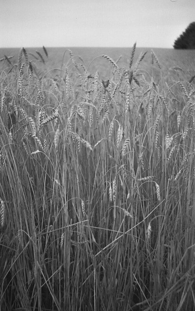 Smena-SL - Soviet Cameras