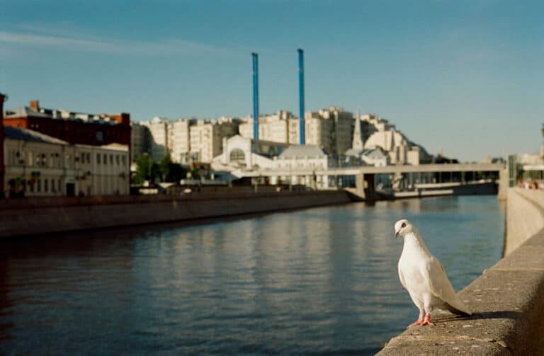 Kiev-19 - Soviet Cameras