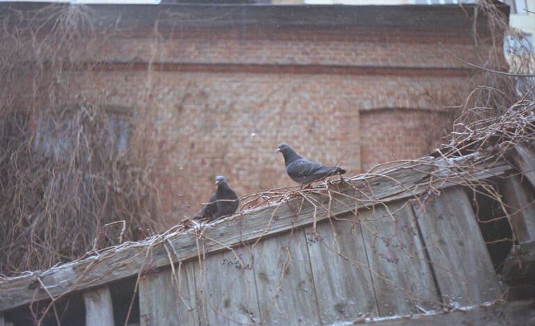 Zenit-12xp - Soviet Cameras