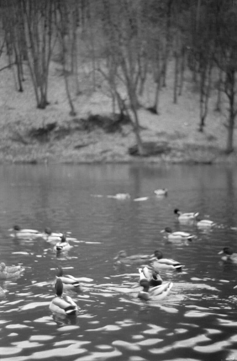 FED-4 - Soviet Cameras