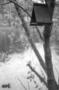 FED-4 - Soviet Cameras