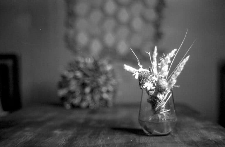 FED-5 - Soviet Cameras