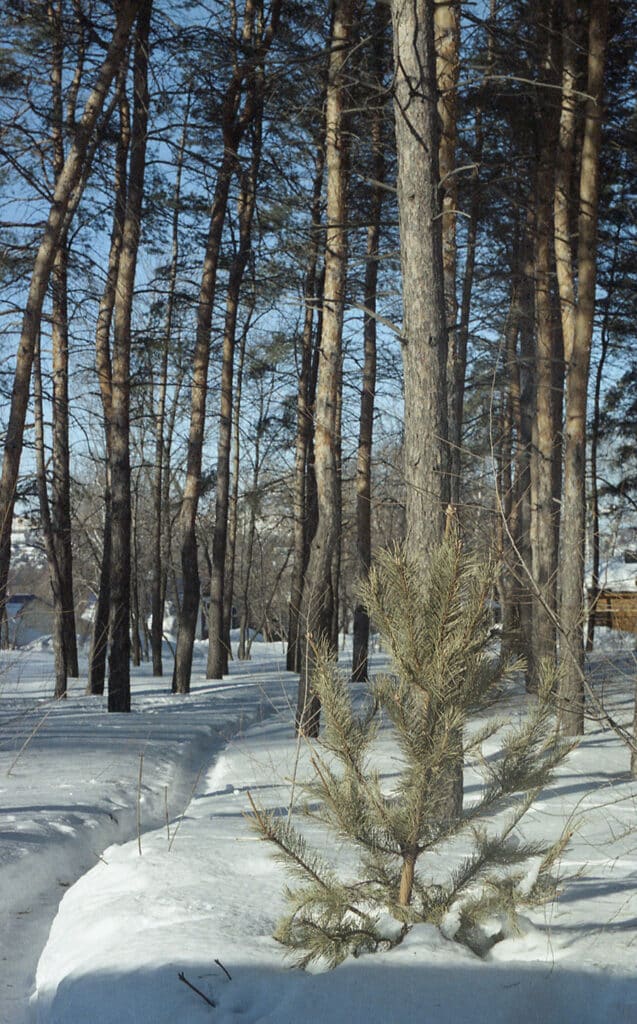 Zenit-16 - Soviet Cameras