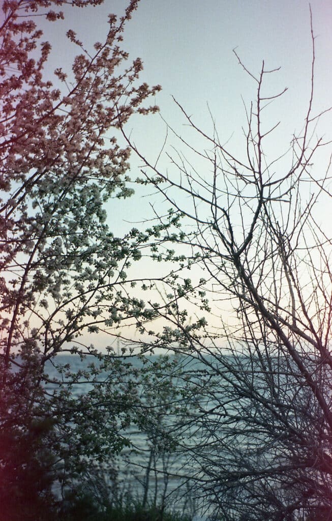 FED-5 - Soviet Cameras