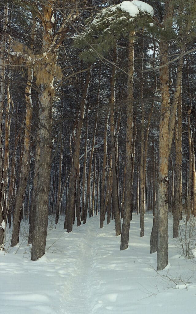 Zenit-16 - Soviet Cameras