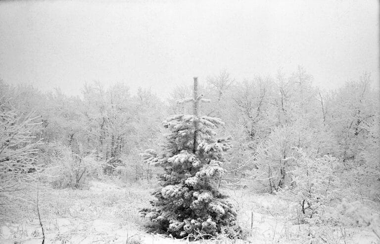 Moskva-1 - Soviet Cameras